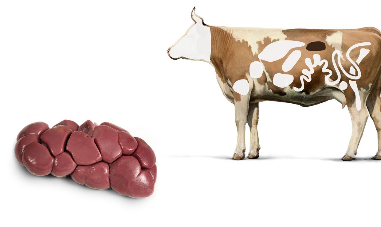 Niere - Schweizer Fleisch