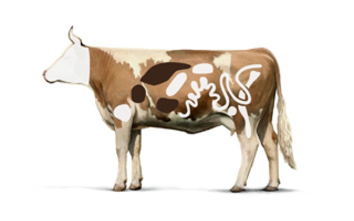 Fleischstücke vom Rind - Schweizer Fleisch