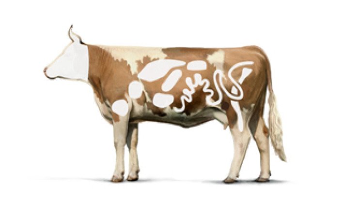 Fleischstücke vom Rind - Schweizer Fleisch