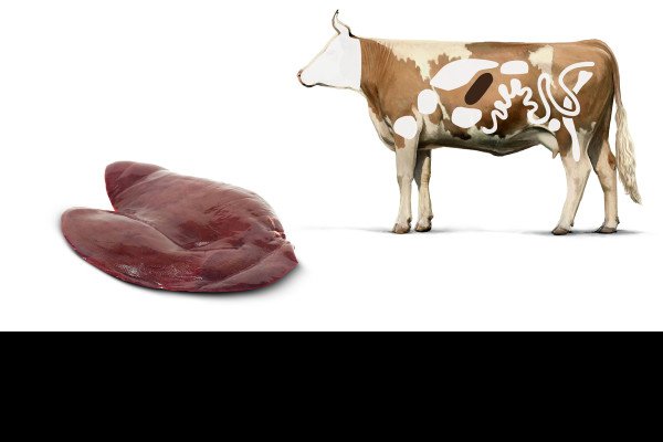 Rind_Innereien_Leber_Grafik.jpg - Schweizer Fleisch