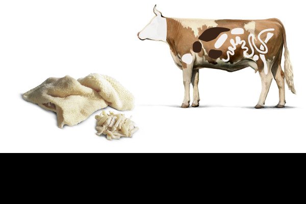 Rind_Innereien_Magen_Kutteln_Grafik.jpg - Schweizer Fleisch