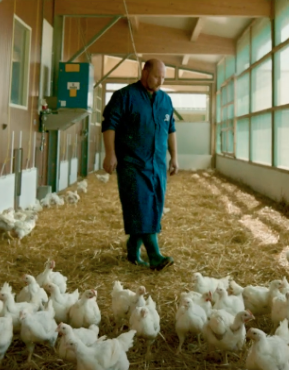 Beliebte Schweizer Klassiker - Schweizer Fleisch