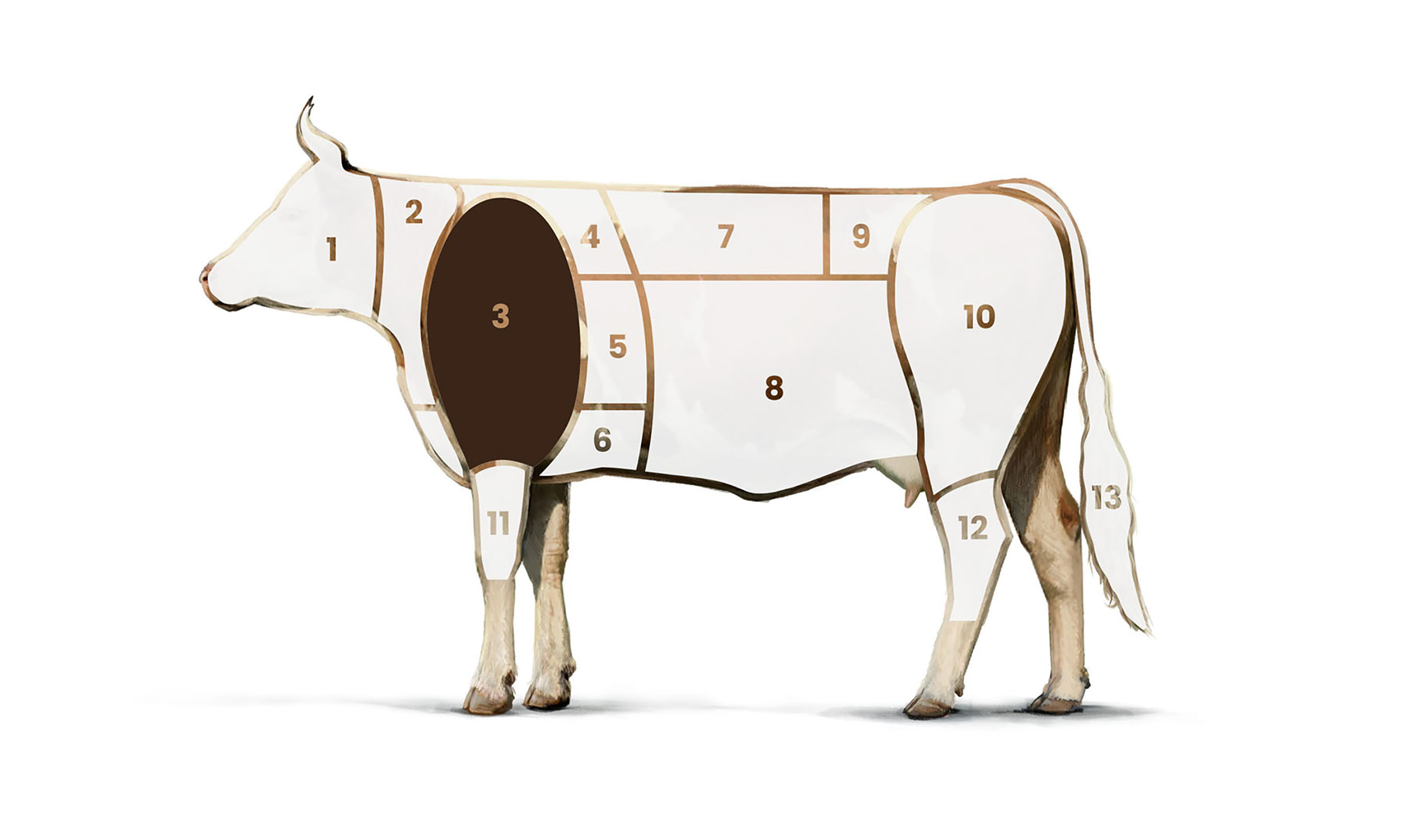 Fleischstücke vom Rind - Schweizer Fleisch