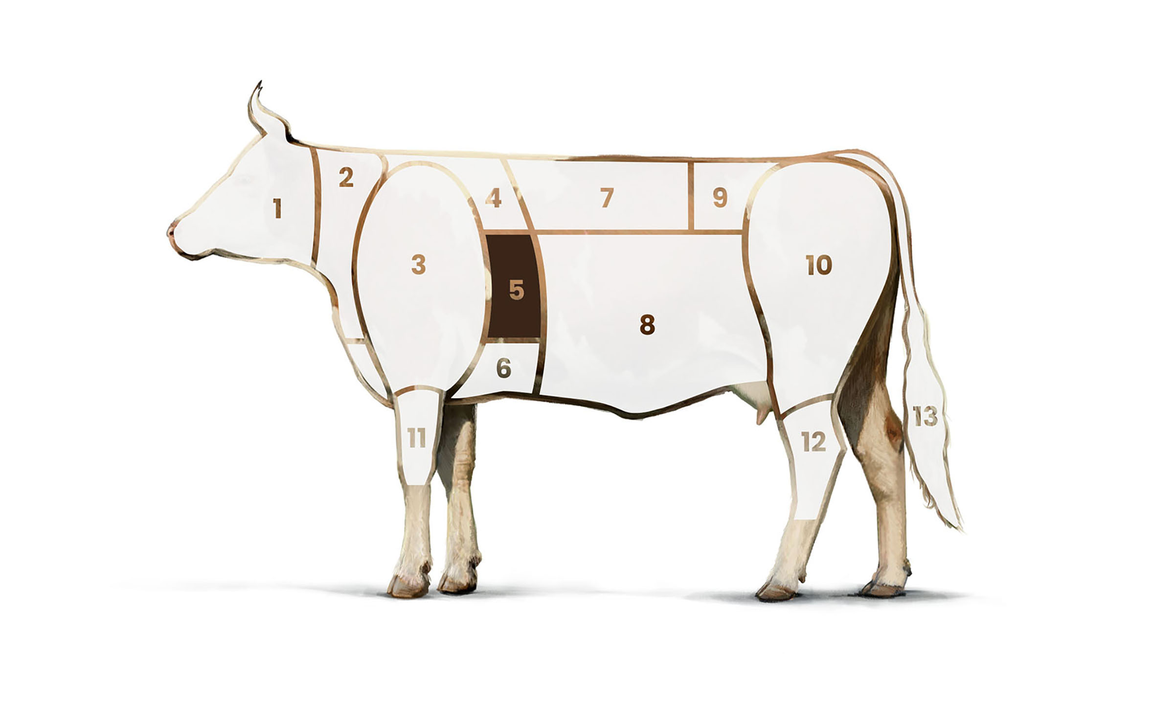 Fleischstücke vom Rind - Schweizer Fleisch