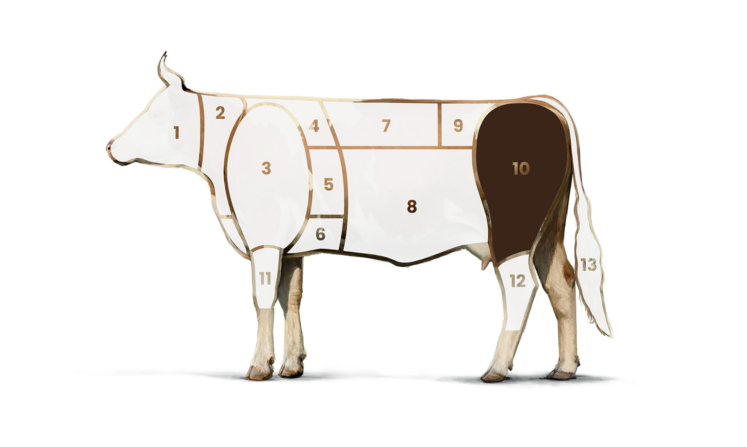 Fleischstücke vom Rind - Schweizer Fleisch