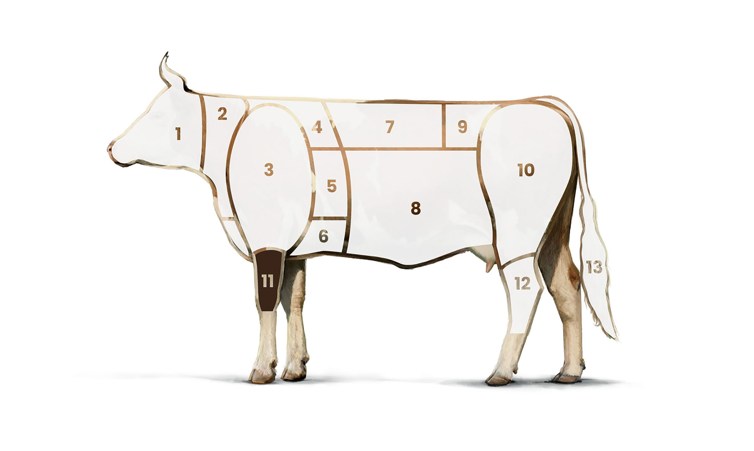 Fleischstücke vom Rind - Schweizer Fleisch