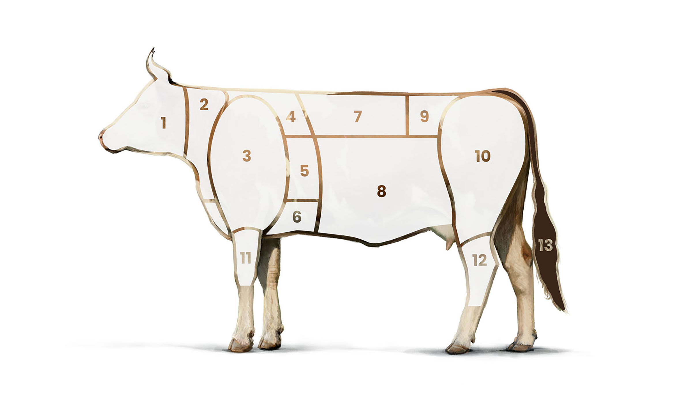 Fleischstücke vom Rind - Schweizer Fleisch